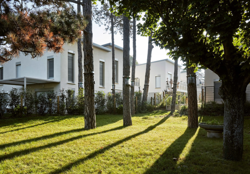 Secret de Jade - Axe Architecture